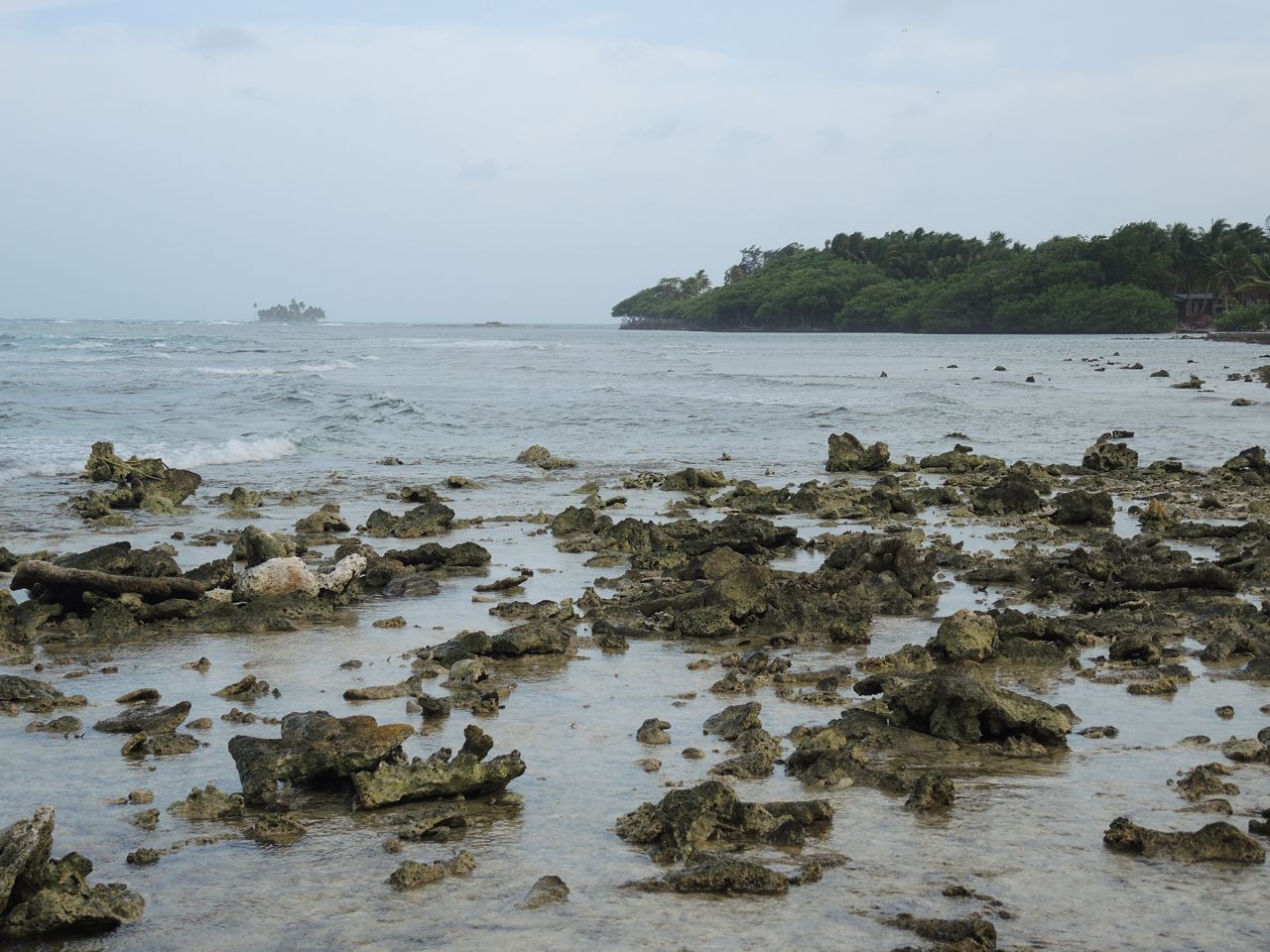 South Water Day 2 | Experiment