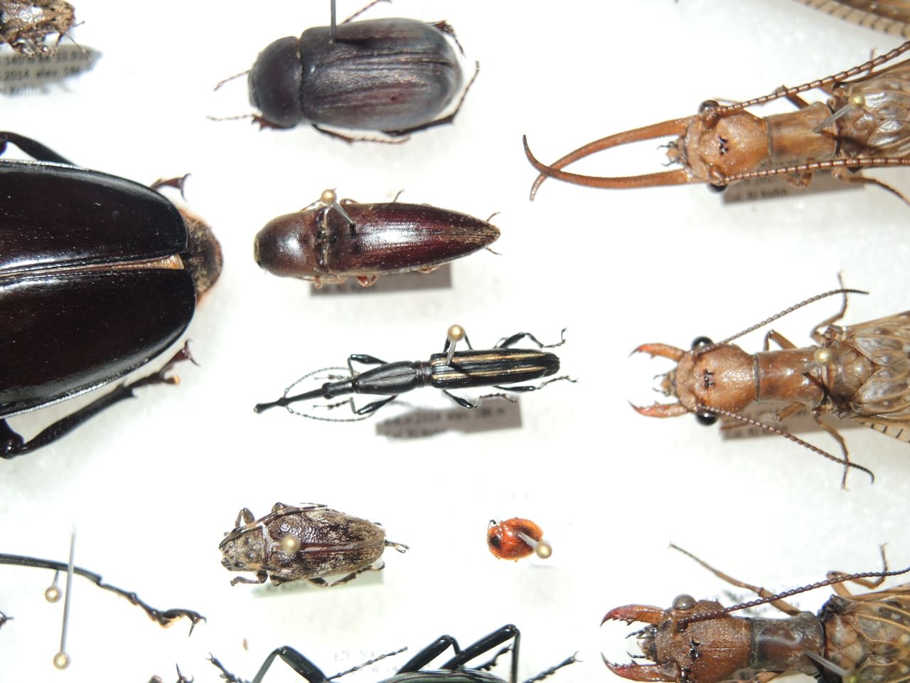 South Water Day 2 | Experiment